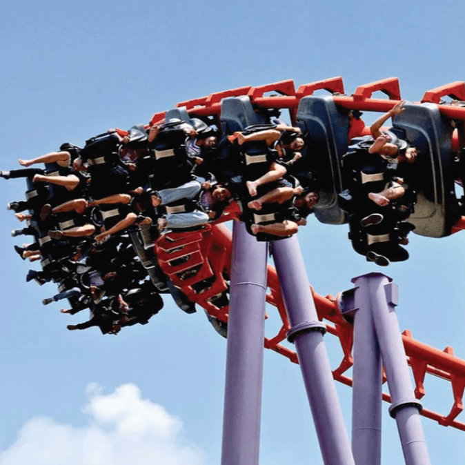 Activities | DesignScapes® – Apollo Design Made