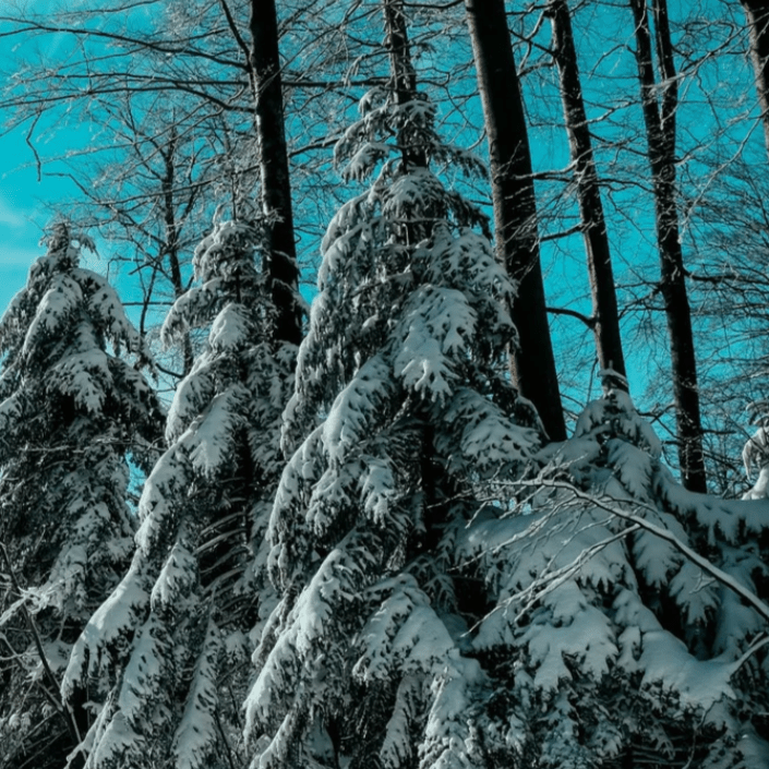 Snow | Fluorescent Light Cover Collection – Apollo Design Made
