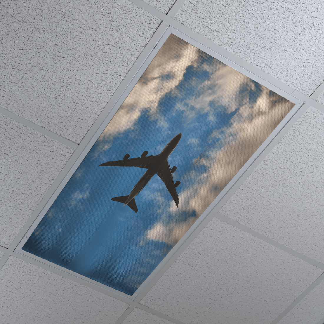 Airplane Underbelly | Fluorescent Light Cover Insert – Apollo Design Made