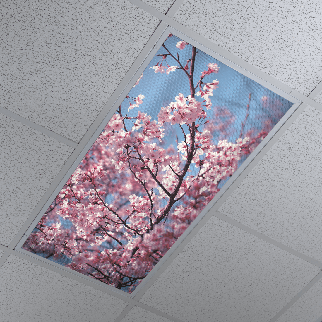 Cherry Blossoms | Fluorescent Light Cover Insert – Apollo Design Made