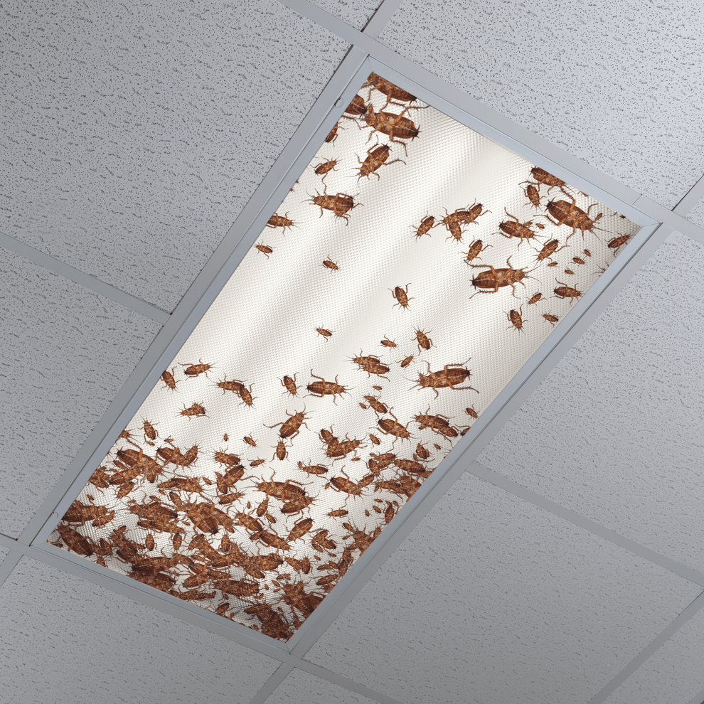 Cockroaches | Fluorescent Light Cover Insert – Apollo Design Made