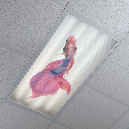 Fishy Fishy | Fluorescent Light Cover Insert – Apollo Design Made