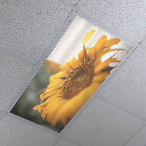 Sunflower| Fluorescent Light Cover Insert – Apollo Design Made