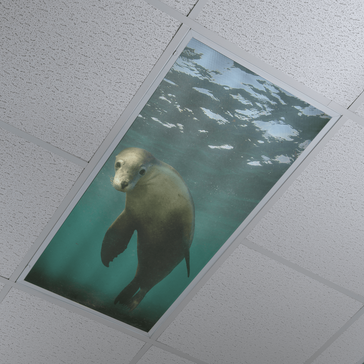 Well Hello There | Fluorescent Light Cover Insert – Apollo Design Made